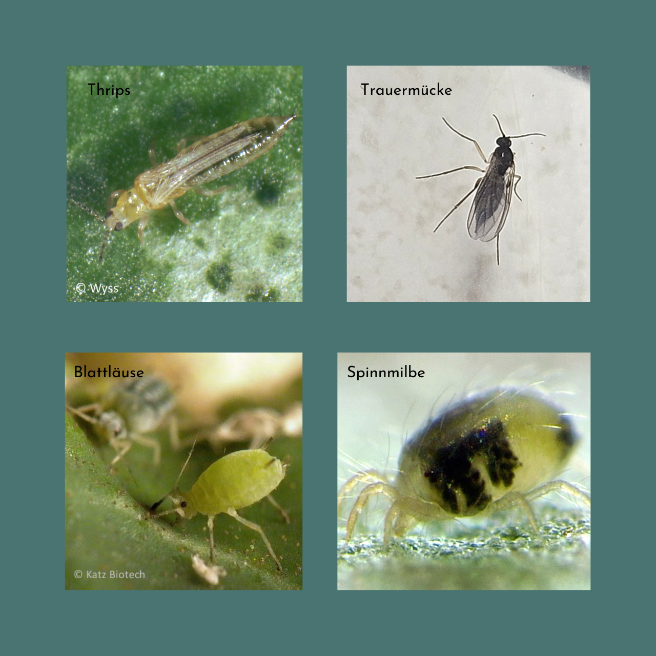 Rundum-Sorglos-Paket